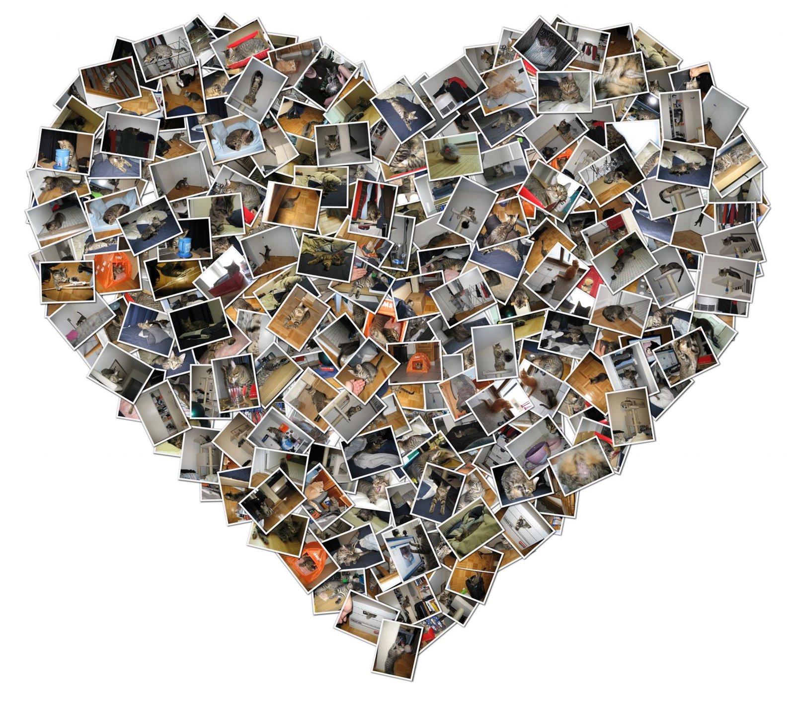 Create High Quality Collages Posters TechnoBuzz Best How To Tips